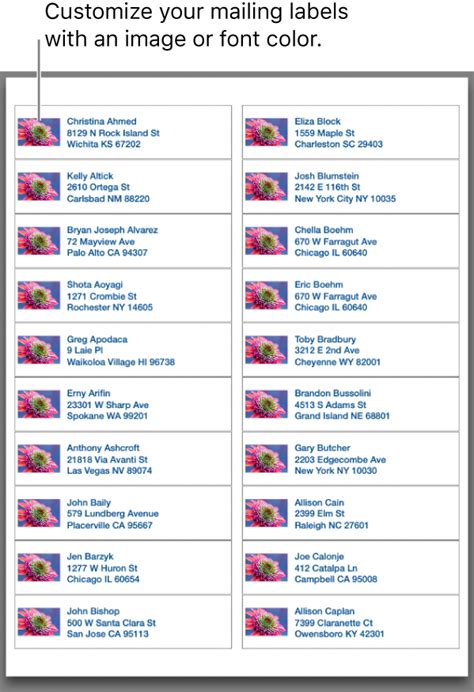 Print Mailing Labels Envelopes And Contact Lists In Contacts On Mac