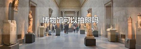 博物馆可以拍照吗 生活经验 生活小常识大全