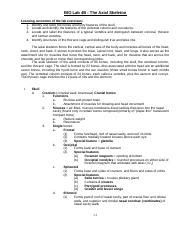 BIO 201 Lab 4B Docx BIO Lab 4B The Axial Skeleton Learning Outcomes Of The Lab Exercises 1