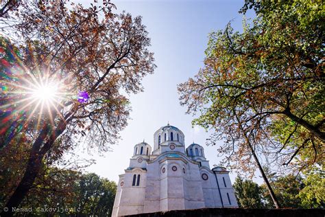 Vandalija Тезеј и Антиопа Facebook