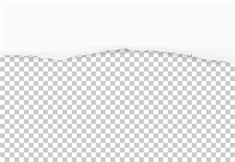 찢어진 종이 텍스처 프리미엄 벡터