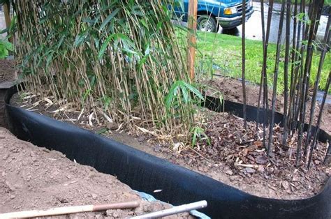 Tree Cutting Service In Kalyan ID 2852124535312