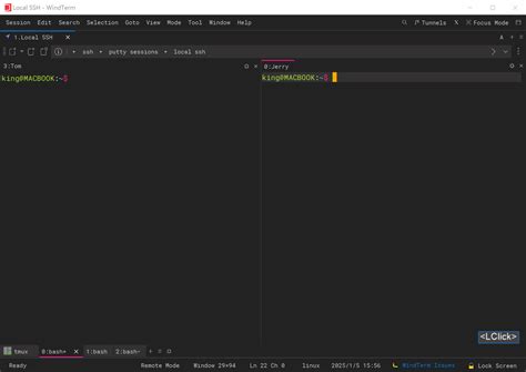 Windterm Tmux Integration Rename Window Windterm And Windedit