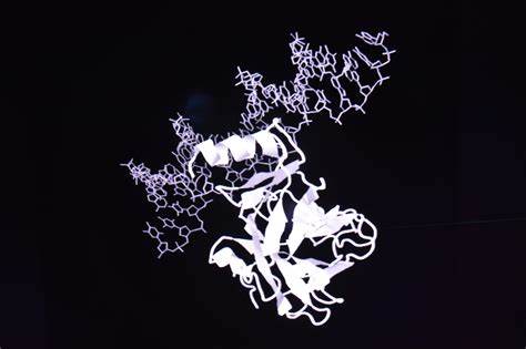 Significant Liver Proteome Alterations Found In Mice With Lal D