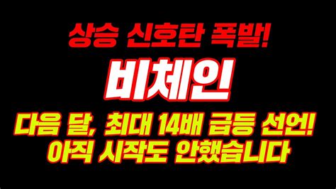 상승 신호탄 폭발 비체인 다음 달 최대 14배 급등 선언 아직 시작도 안했습니다 비체인 비체인코인 비체인분석 Youtube
