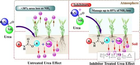 요소비료·퇴비와 요소분해효소 억제제 처리하면 경제·환경적 이점