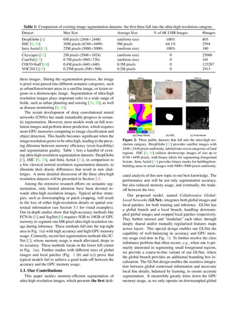 collaborative global local networks for memory efficient segmentation