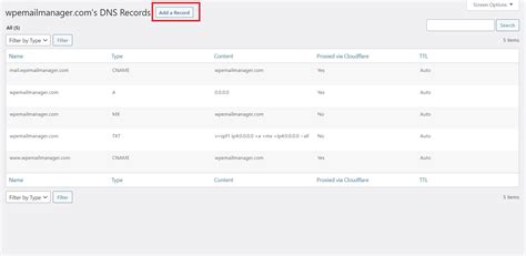 How To Add A DNS Record WP Email Manager