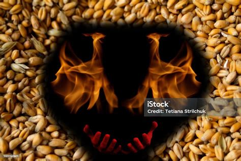 식량 위기 세계 및 유럽 곡물 및 밀 위기 우크라이나 곡물 수출업자 불꽃을 가진 악마 워드 디자인 검은 배경 귀리 보리 호밀 0명에 대한 스톡 사진 및 기타 이미지 Istock