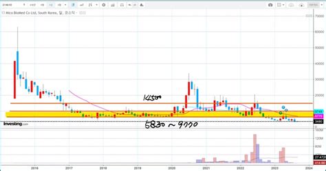 미코바이오메드 주가 전망 유증 무증 버텨야 한다 추가하락은 안된다 네이버 블로그