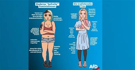 Künstler Dreht Spieß Um Und Verarscht Afd Mit Tradwife Meme
