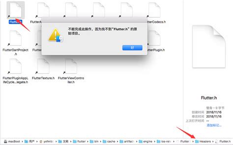 About Flutter Flutter H Not Found On Ios Issue Flutter Flutter Github