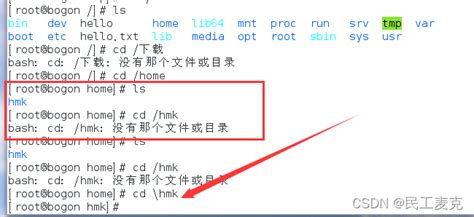 【linux】centos 使用ls命令能显示出来文件夹用cd命令却进不去？linux Ls 显示文件夹 但无法进入 Csdn博客