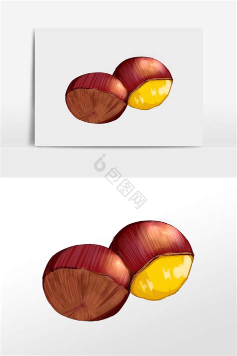 板栗插画 板栗插画图片 包图网