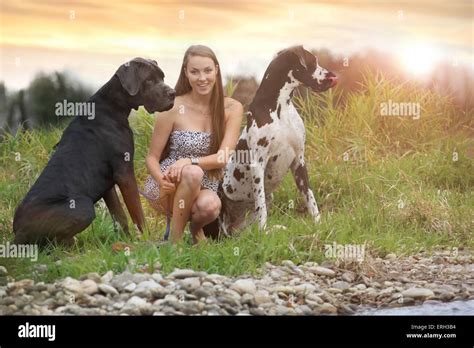 Frau Und Deutsche Dogge Stockfotografie Alamy