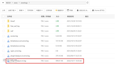 如何查看宝塔面板中网站日志及分析日志报表确定解决方案 老蒋部落