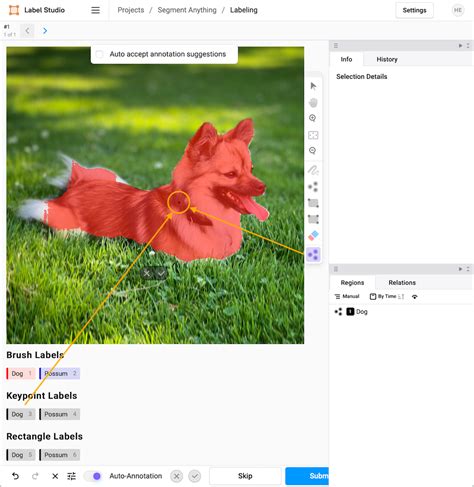 Getting Started Using Segment Anything Label Studio