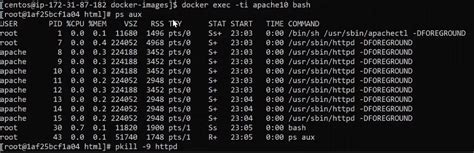 Building A Docker Image With Non Root User Permissions A Step By Step