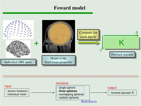 Ppt Eegmeg Source Reconstruction Powerpoint Presentation Free Download Id6617405