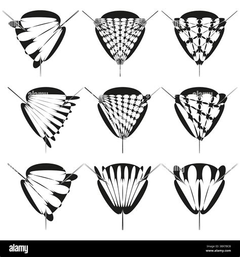 Abstract Triangle Elements Feathered Line Pattern Organic Shape