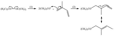 Isoprene Polymerization
