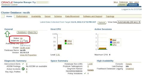 Configured 4 Node 11gr2 Rac On My Laptop