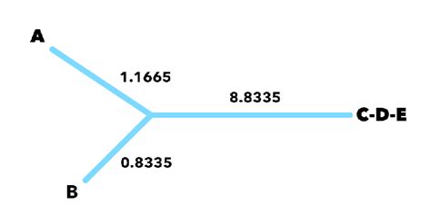 Phylogenetic Tree With Actual Branch Lengths Constructed Using