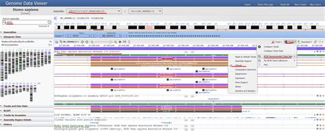 Tracks In Custom Genome · Issue 1306 · Igvteamigv · Github