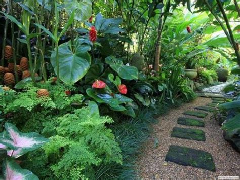 Jardim Tropical Como Fazer Como Cuidar Conceito E 60 Fotos