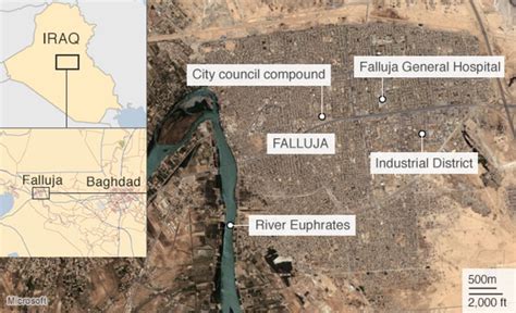 Is Conflict Iraqi Forces Retake Most Of Falluja Bbc News