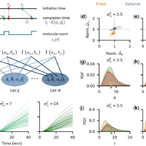 Fig S3 Hierarchical Inference Outperforms Non Hierarchical Inference Download Scientific