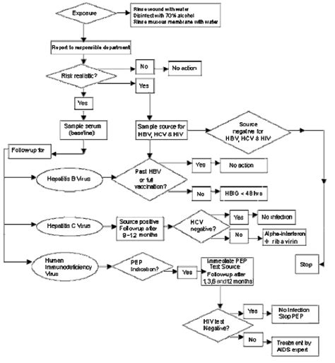 English World Gastroenterology Organisation