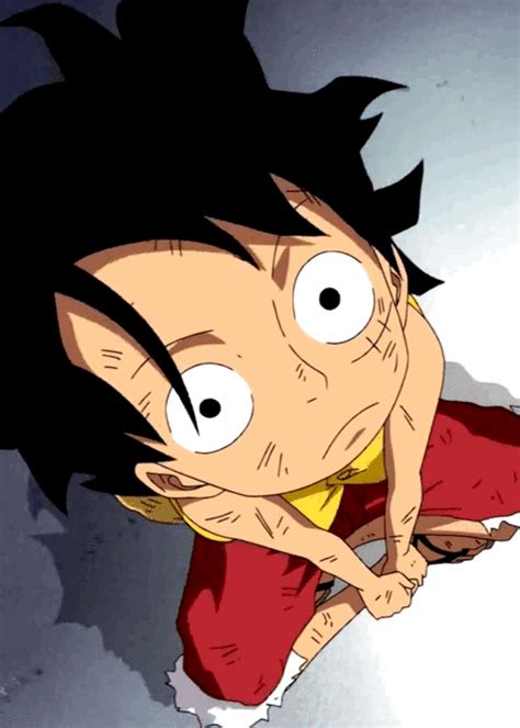 Monkey D Luffy Gif Gifcen
