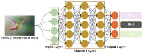 Apa Itu Convolutional Neural Networks Cnn Contoh Dan Keunggulan
