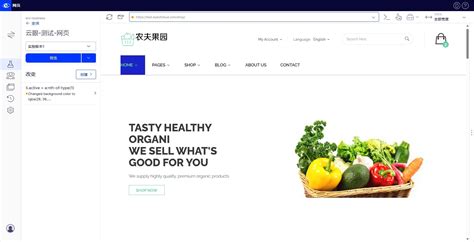 开始使用云眼 Web 实验
