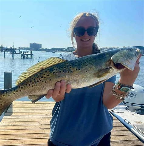 How To Catch Speckled Trout Intercoastal Safaris