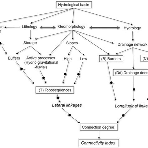 Flowchart Graph With The Analyzed Variables In The Ci Where The Symbol