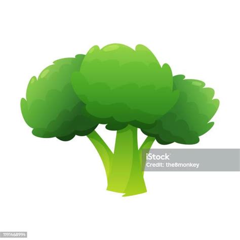 브로콜리 신선한 야채 벡터 개념 건강 한 다이어트 플랫 스타일 일러스트 고립 된 녹색 음식 레스토랑 메뉴 요리 책 및 유기농 농장 라벨에 사용할 수 있습니다 건강한 생활