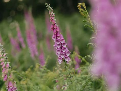 Using The Split Function In Snowflake By Christianlauer Medium