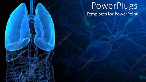 Premium Template For PowerPoint Google Slides 16782