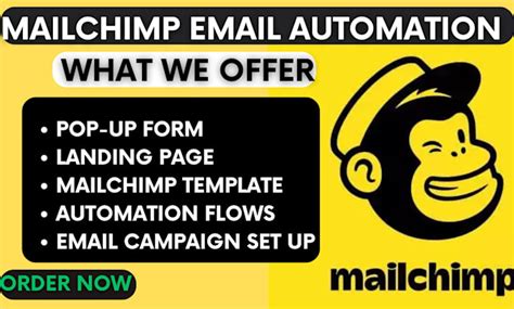 Set Up Mailchimp Automation Newsletter Campaign Landing Page Autoresponder By Digitalfola6 Fiverr