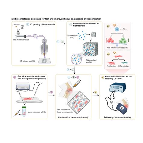 Illustration Of Multiple Strategies Combined To Achieve Fast And Improved Term Biorender