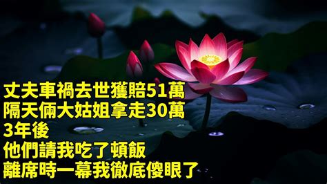 丈夫車禍去世獲賠51萬，隔天倆大姑姐拿走30萬，3年後，他們請我吃了頓飯，離席時一幕我徹底傻眼了 短篇 情感故事 故事 家庭故事