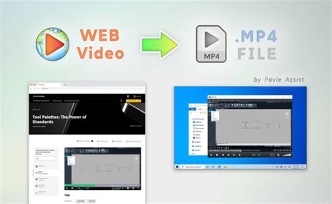 Save Web Video In Downloadable Format By Pavleassist Fiverr