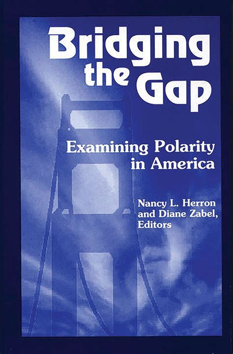 Bridging The Gap Examining Polarity In America Nancy L Herron