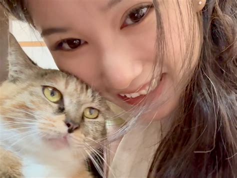 球球大家看看同样可爱的大猫宝宝们吧！！！ 哔哩哔哩