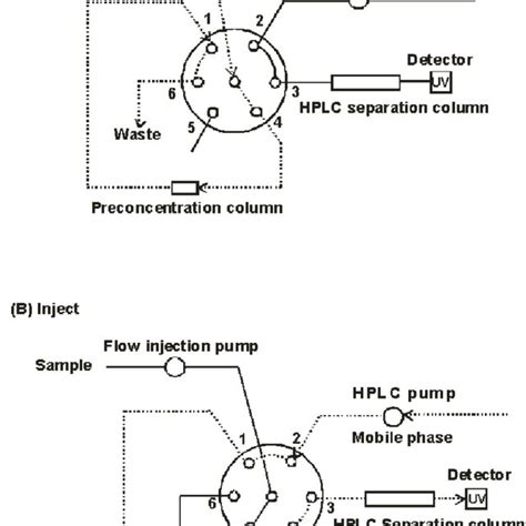 Schematic Diagram Of The On Line Solid Phase Extraction Download