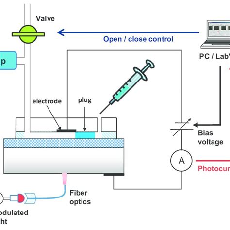 Pdf Light Addressable Potentiometric Sensor As A Sensing Element In Plug Based Microfluidic