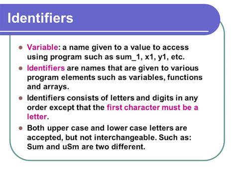 What Is An Identifier In Programming