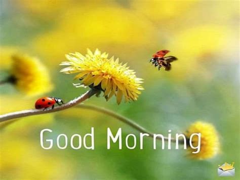 Intravenous Fluid Computations Ppt